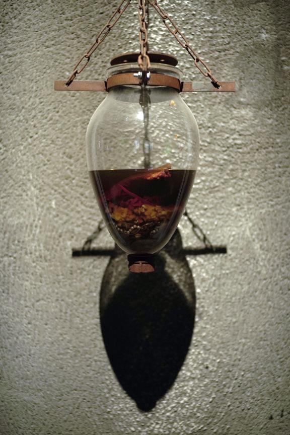 Doreen Garner | AB7: ECLIPSE